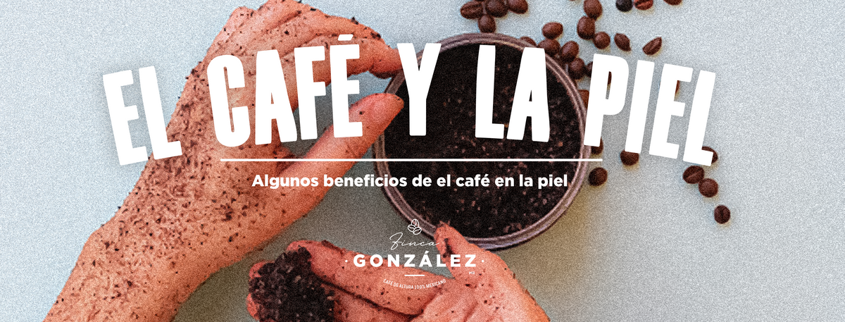 BENEFICIOS DEL CAFÉ EN LA PIEL – Cafe Finca Gonzalez